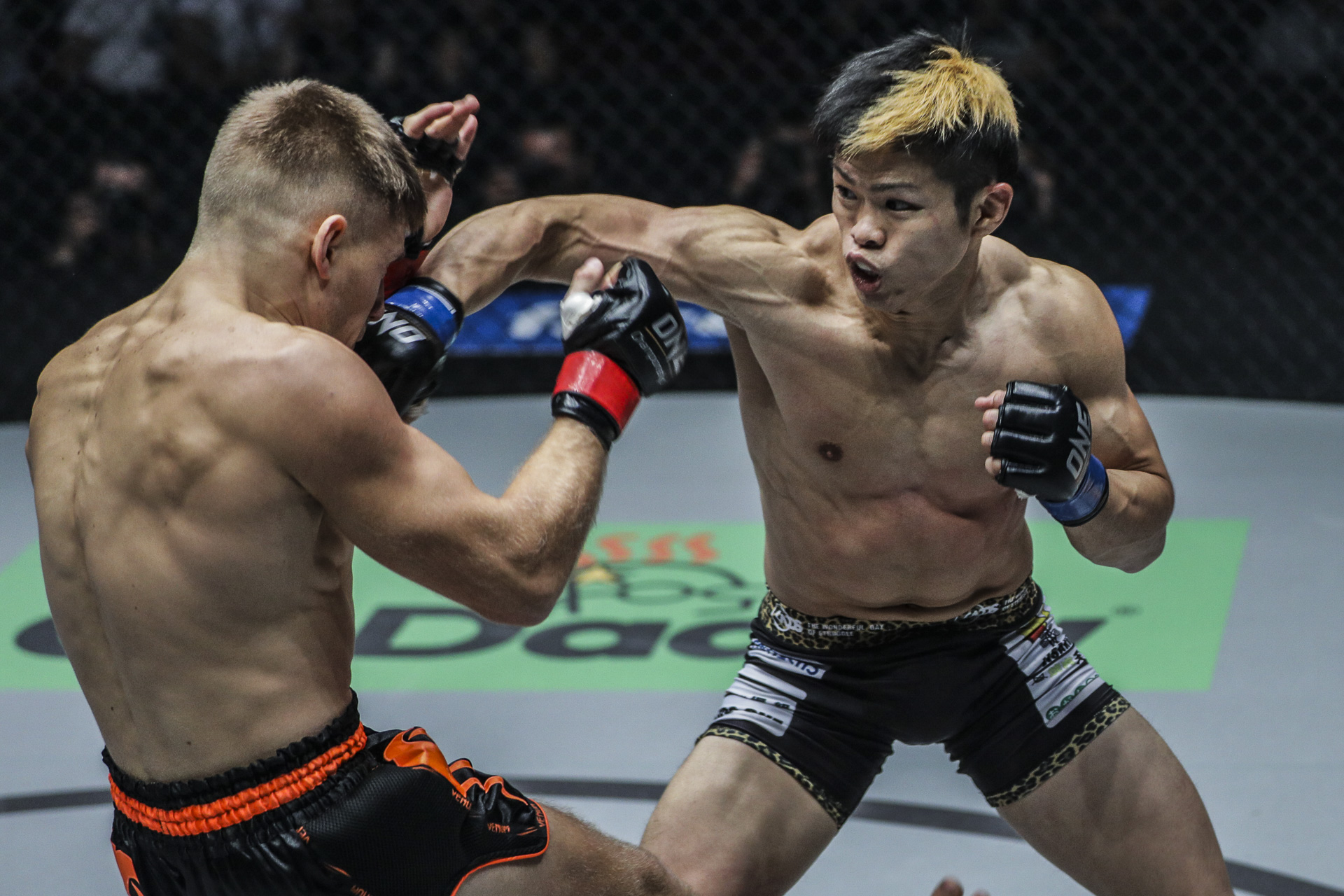 [PHOTOS] Lithuania vs Japan: Deividas Danyla, Hiroaki Suzuki fight at ‘ONE: Conquest of ...