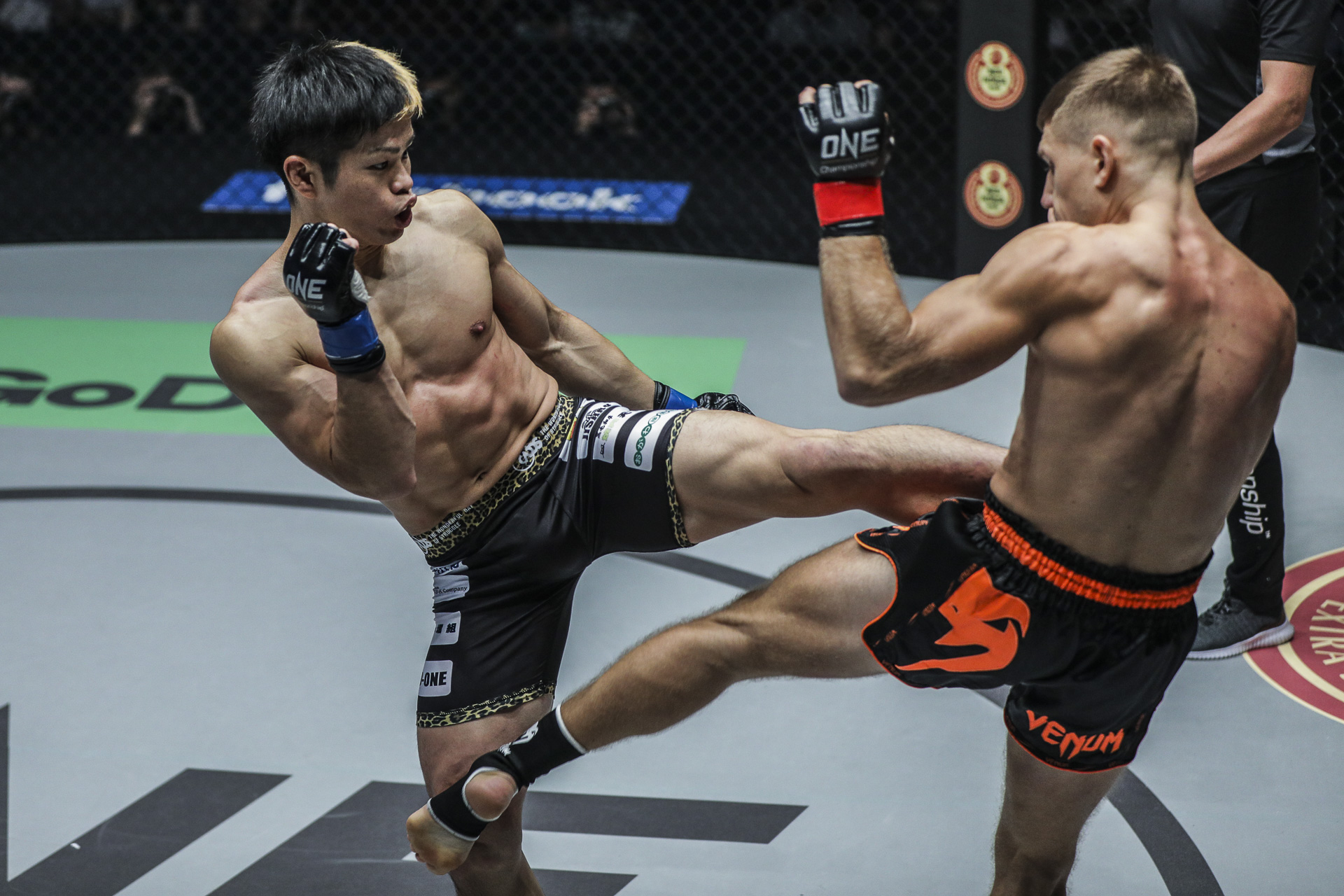 [PHOTOS] Lithuania vs Japan: Deividas Danyla, Hiroaki Suzuki fight at ‘ONE: Conquest of ...