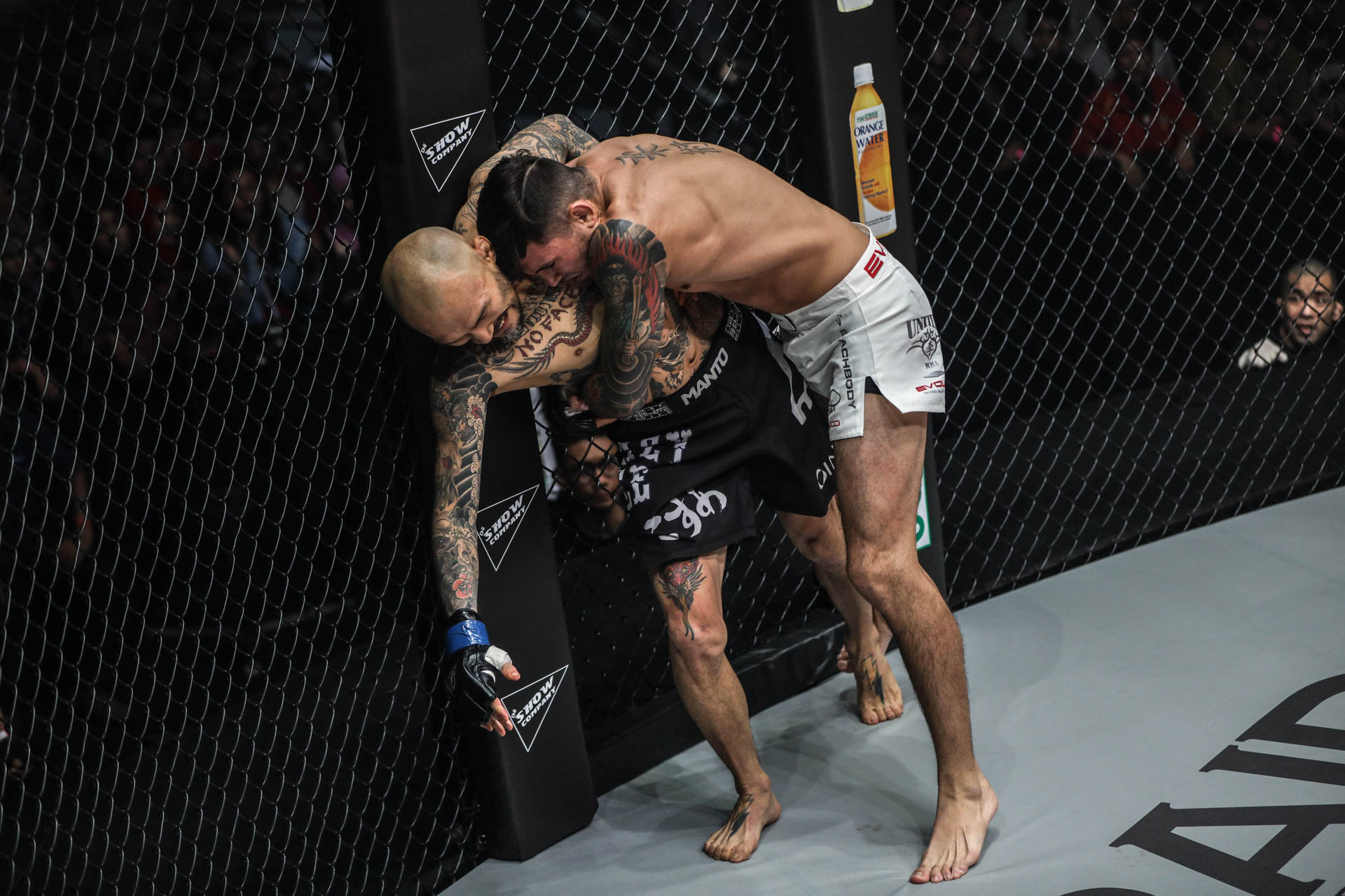 [PHOTOS] Brazil vs Japan: Bruno Pucci, Kotetsu Boku fight at ‘ONE ...