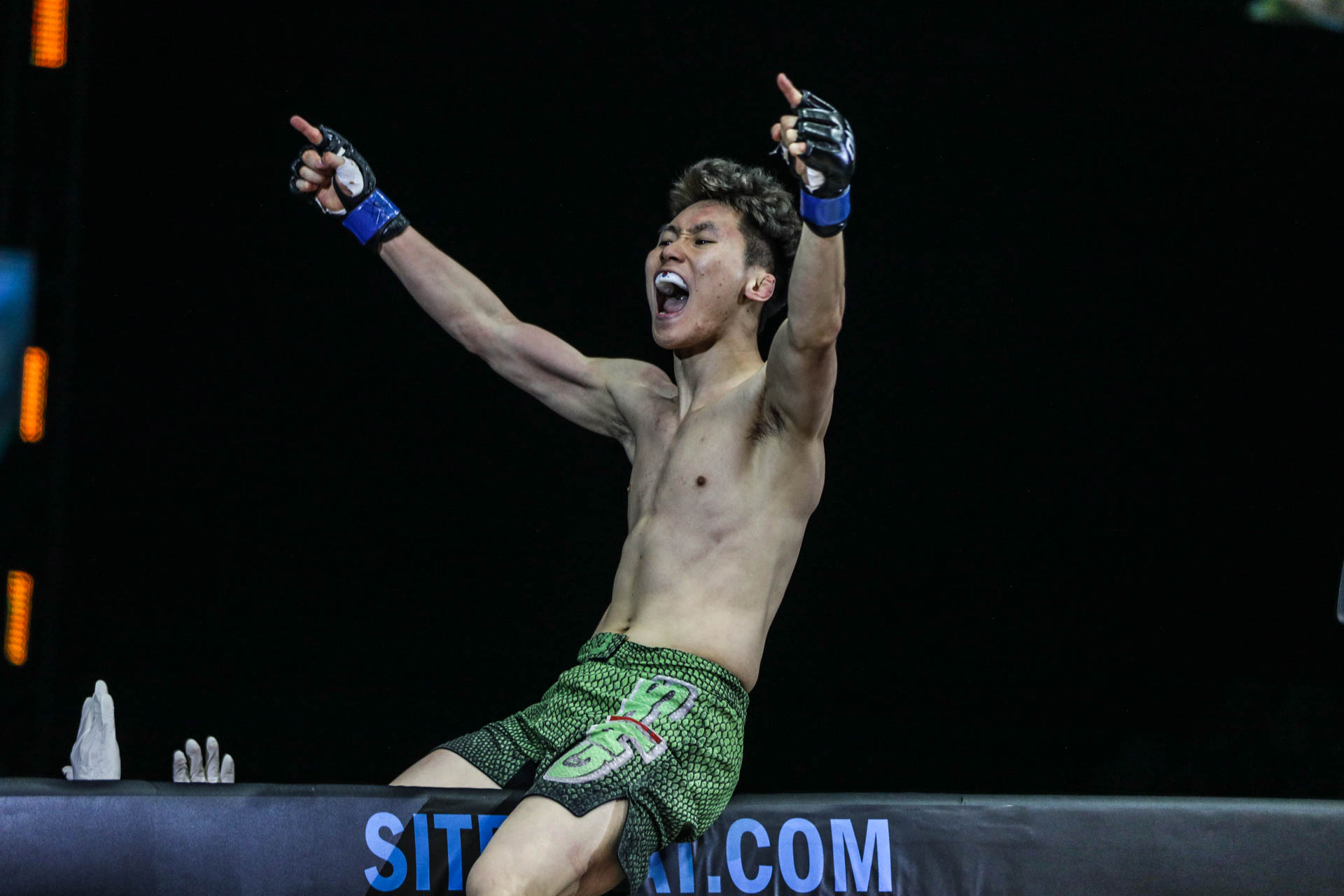 [PHOTOS] Indonesia vs Korea: Anthony Engelen, Kwon Won Il fight at ‘ONE ...