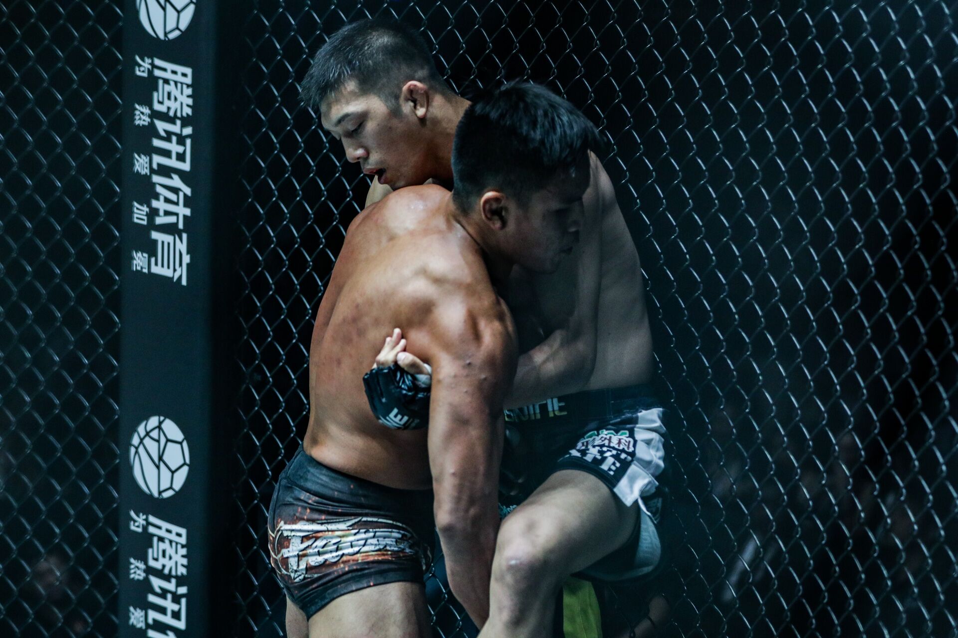 [PHOTOS] Japan vs New Zealand: Shoko Sato, Mark Fairtex Abelardo fight ...